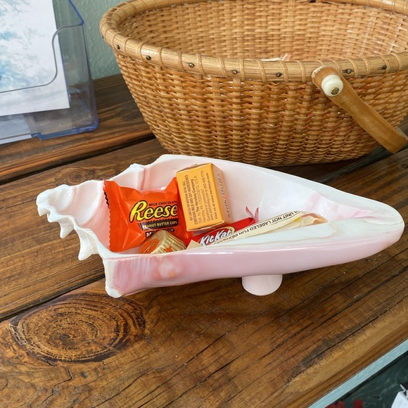 Dining | Caribbean Conch Real Shell Footed Bowl | Poshmark